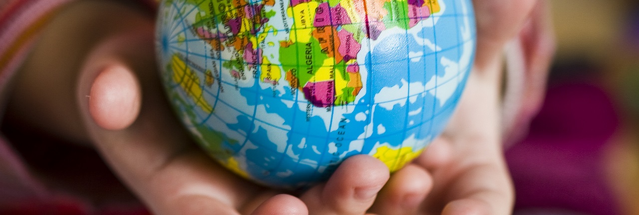 GUDID - WISE COMPANY